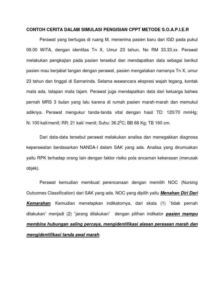 Contoh Kasus Dalam Simulasi CPPT Soapier | PDF