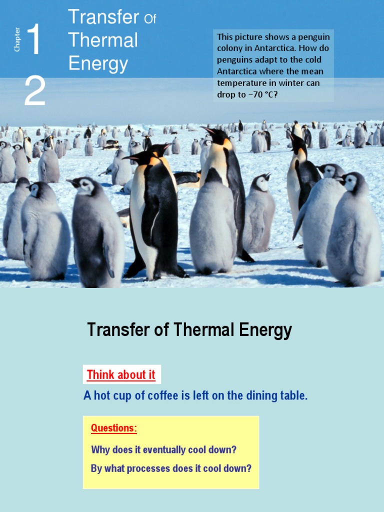 Understanding Thermal Energy Transfer | PDF | Thermal Conduction | Infrared