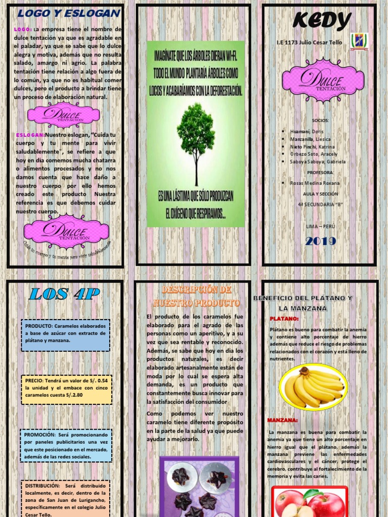 Triptico de Ept | PDF | Bienestar | Medicina