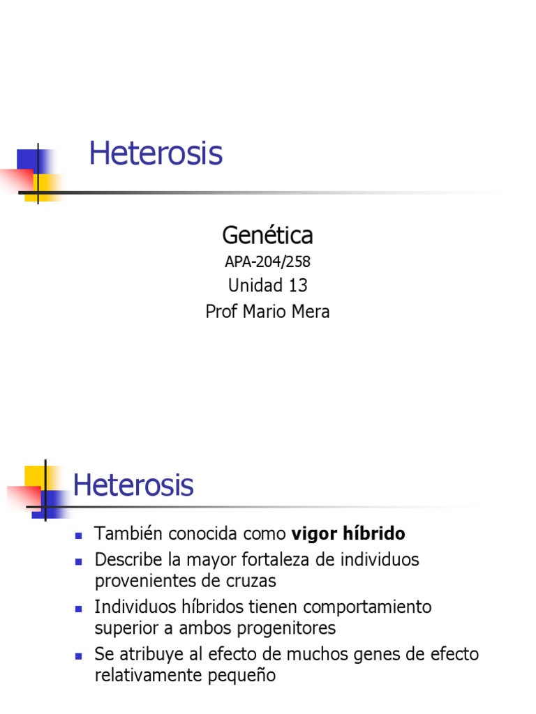 Heterosis: Vigor Híbrido en Genética | PDF | Dominancia (Genética ...