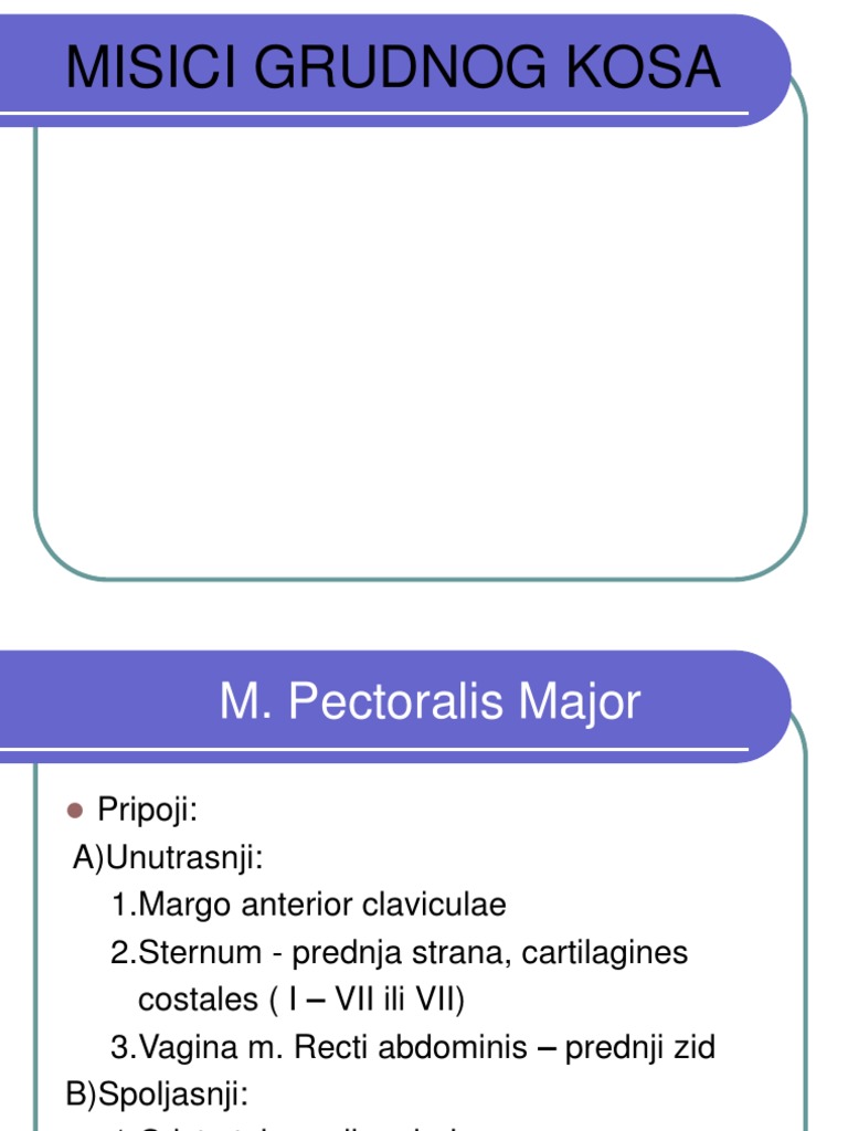 MIsici Grudnog Kosa | PDF