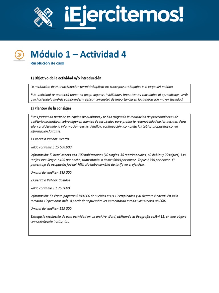 Api 1 Auditoria 2 | PDF