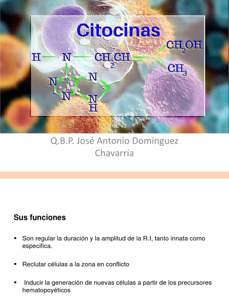 Citocinas | PDF | Citocina | Linfocitos