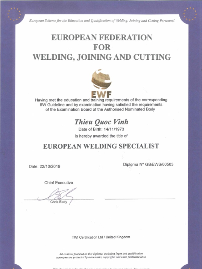 European Welding Specialist. ThieuQuocVinh | PDF