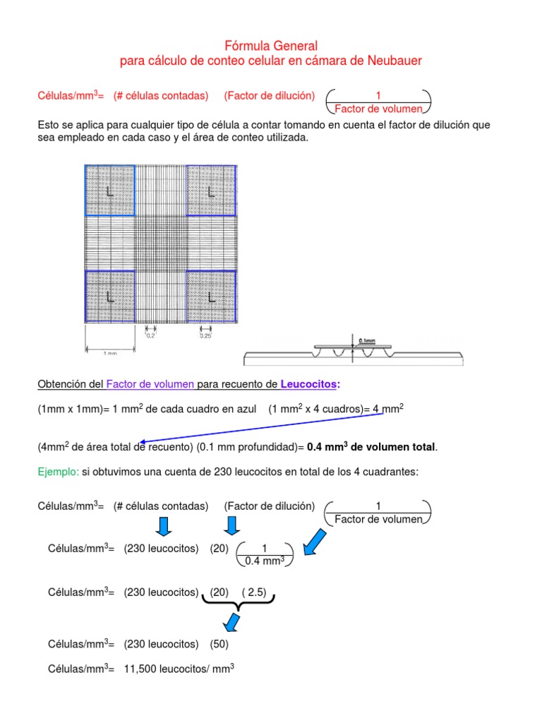 Formula para Calculo de Conteo Celular en Camara de Neubauer 2014 PDF | PDF
