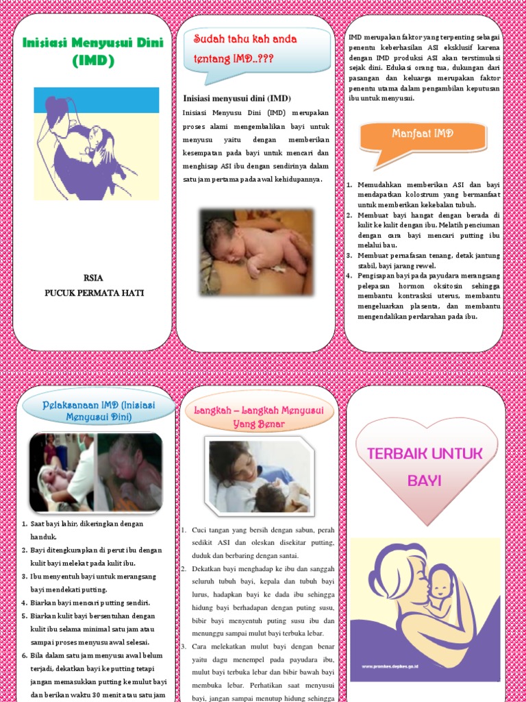 Leaflet Imd | PDF | Kesehatan Holistik