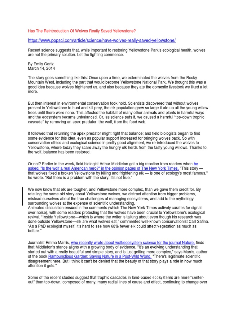 Has The Reintroduction of Wolves Really Saved Yellowstone | PDF ...
