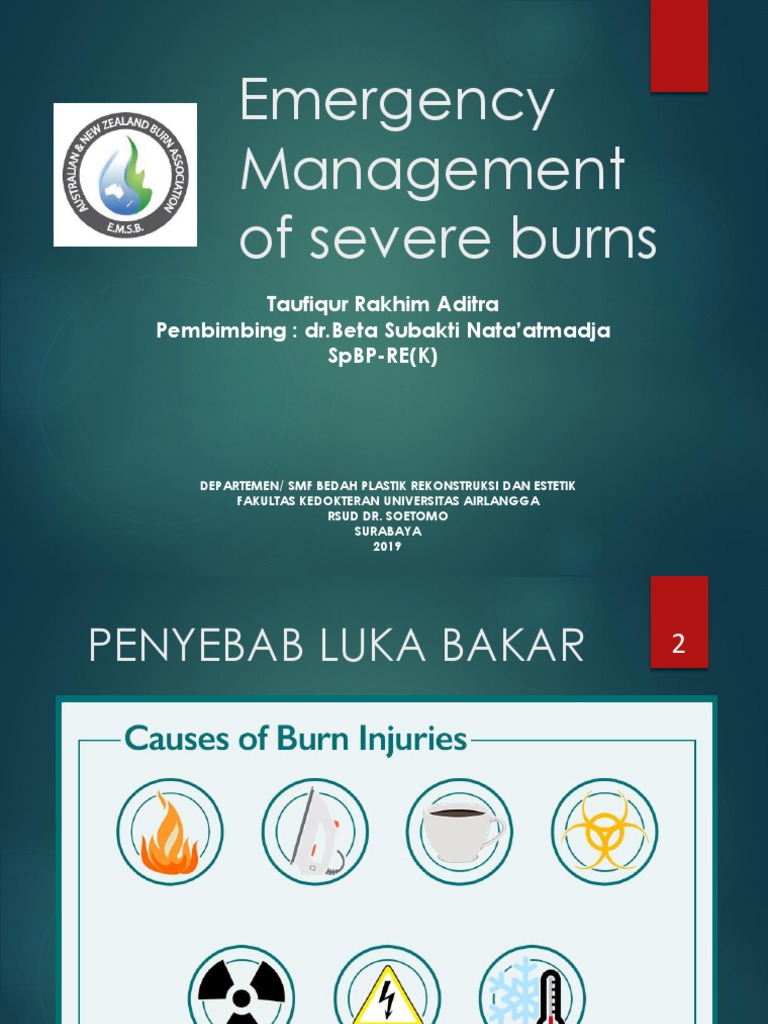 Emergency Management of Severe Burns | PDF