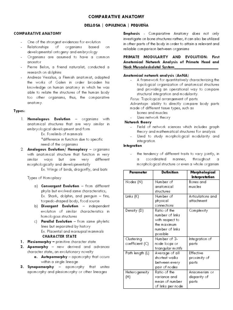 COMPARATIVE ANATOMY Handout | PDF | Anatomy | Evolution