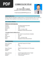 CV Format | PDF | Computing And Information Technology | Business