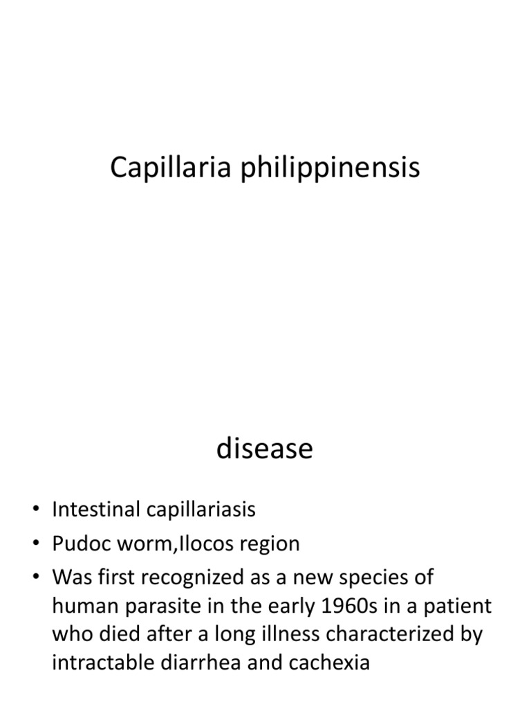 Capillaria Philippinensis | PDF | Parasitology | Medicine