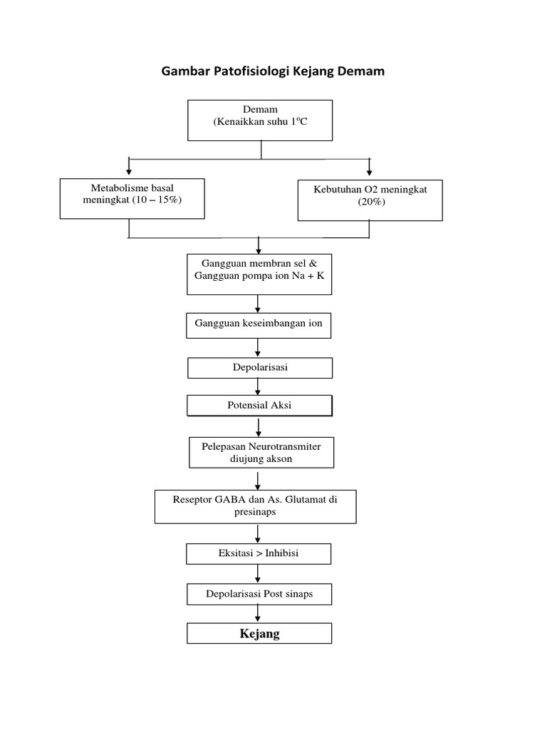 Gambar Patofisiologi Kejang Demam | PDF