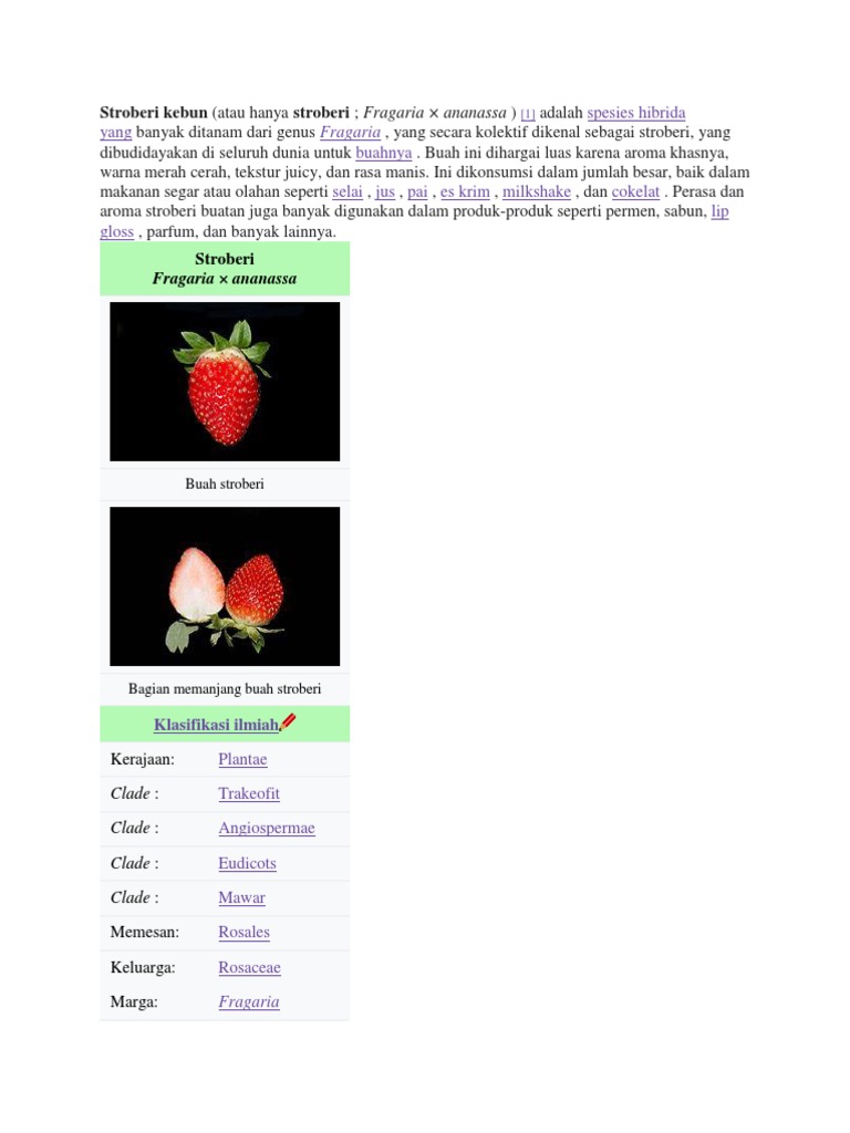 Strawberry | PDF