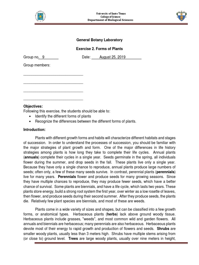 Plant Forms Identification Exercise | PDF | Perennial Plant | Plants