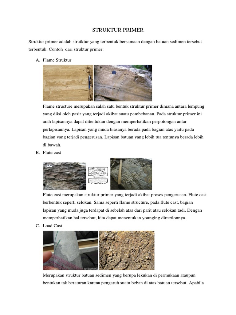 Struktur Primer | PDF