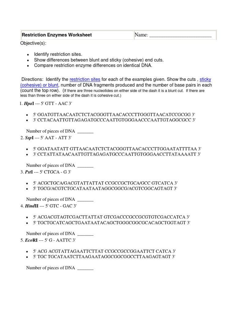 Microsoft Word - Restriction Enzymes Worksheet | PDF | Restriction ...