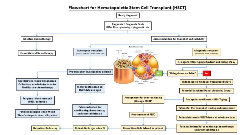 BMT Flow Chart - 2018 PDF | PDF | Hematopoietic Stem Cell ...