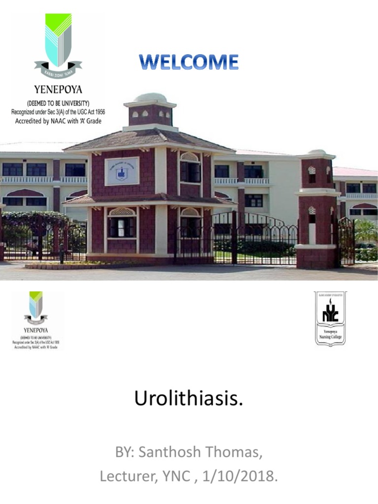 Understanding Urolithiasis: Etiology, Pathophysiology, Clinical ...