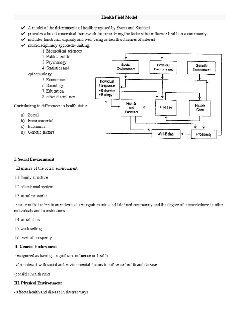 Health Field Model (Student Copy) | PDF | Public Health | Behavioural ...