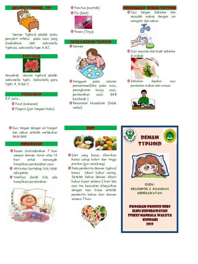 Leaflet Demam Thypoid 2 | PDF