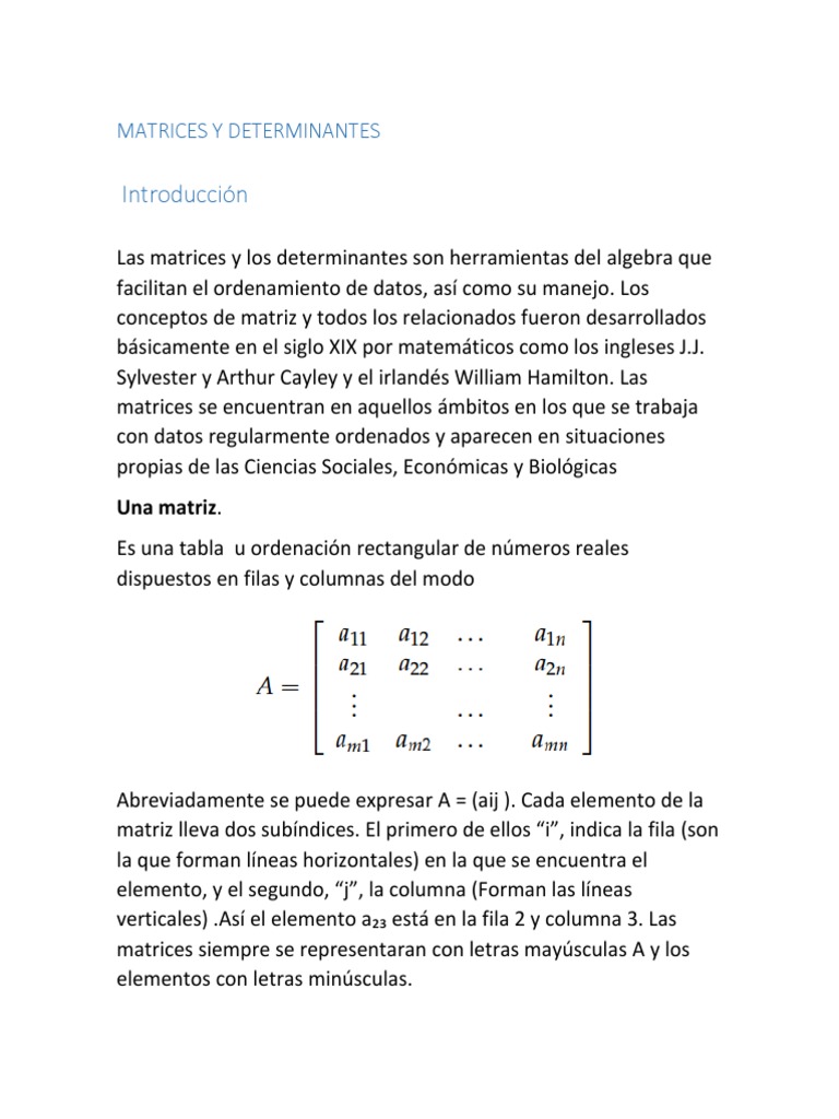 Guía de Matrices y Determinantes | PDF | Matriz (Matemáticas) | Ecuaciones
