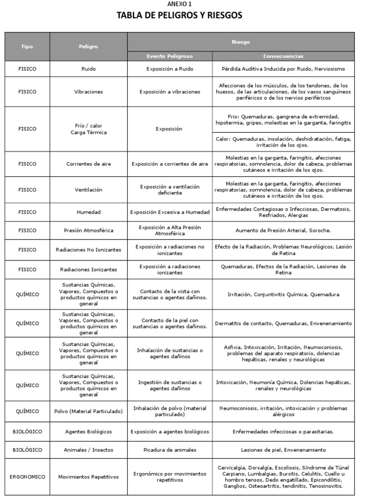 Anexo 1. Tabla de Peligros y Riesgos | PDF | Quemar | Factores humanos ...