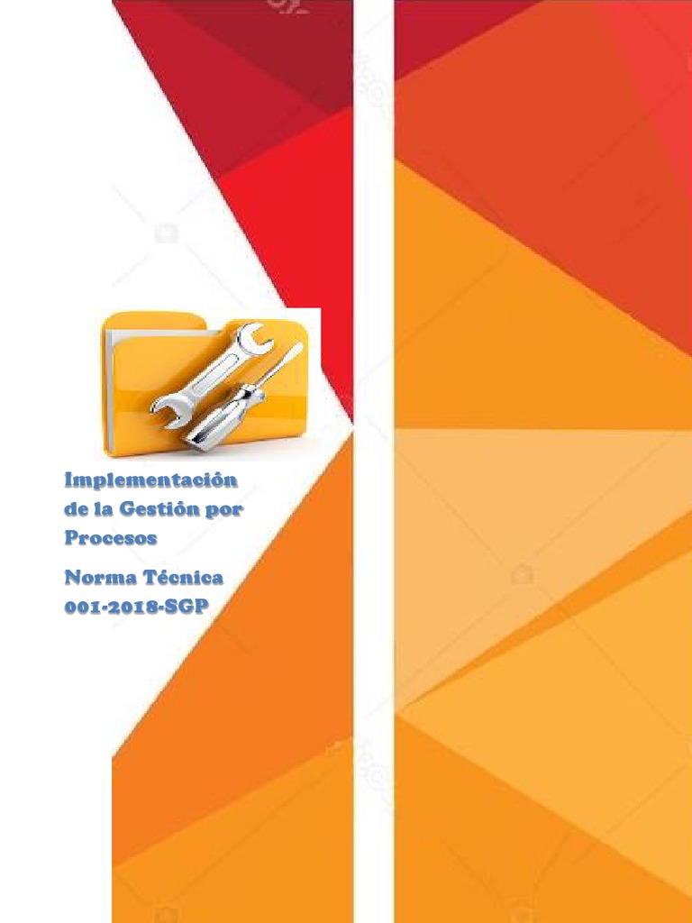 Implementación de Gestión por Procesos 001-2018 | PDF | Computación en ...