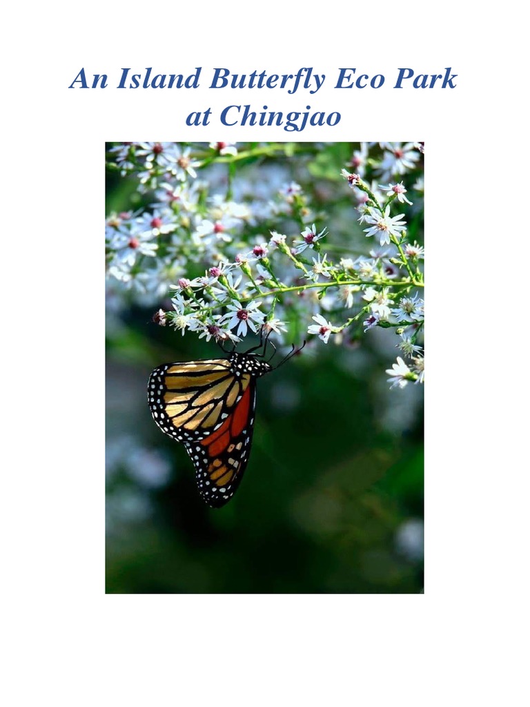 Butterfly | PDF | Butterfly | Natural Environment