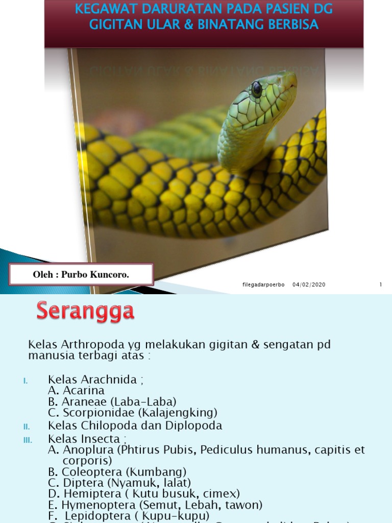 Gigitan Serangga Dan Binatang Berbisa | PDF