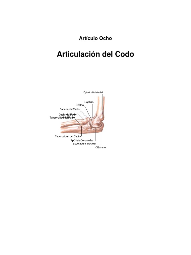 Section Eight The Elbow Joint (Español) | PDF | Codo | Hombro