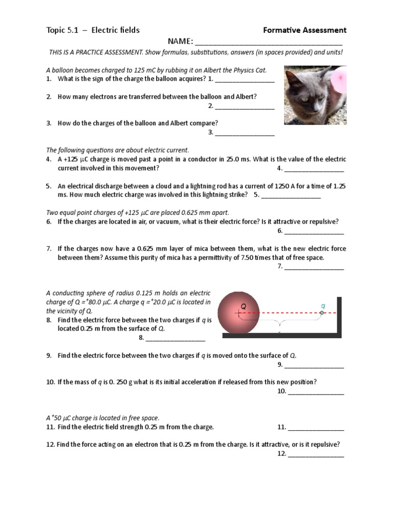 Electric Fields: Practice Assessment | PDF | Electric Field | Electric ...
