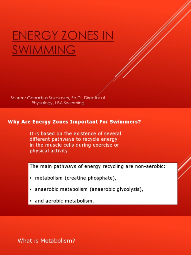 Energy Zones for Swimmers Explained | PDF | Metabolic Pathway ...