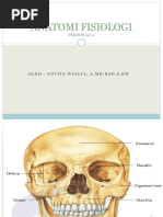 Anatomi Maksila & Mandibula | PDF