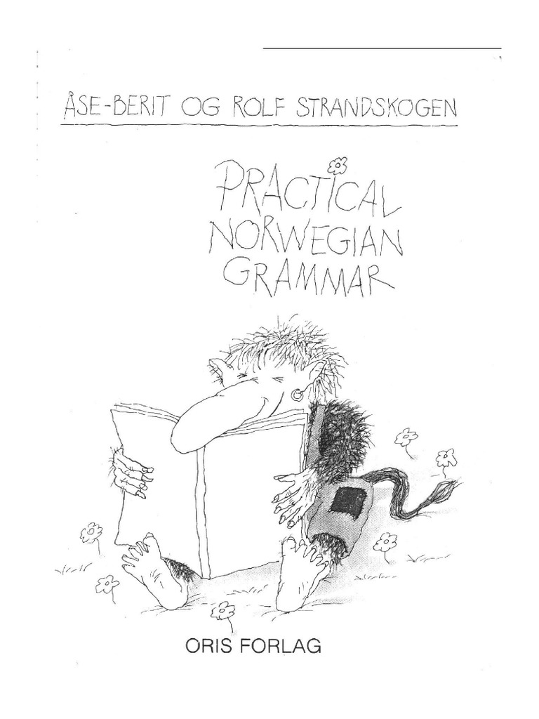 02 Practical Norwegian Grammar PDF | PDF