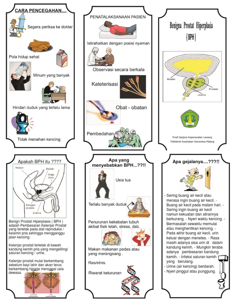 Gejala dan Penyebab BPH pada Pria | PDF | Kesehatan Holistik