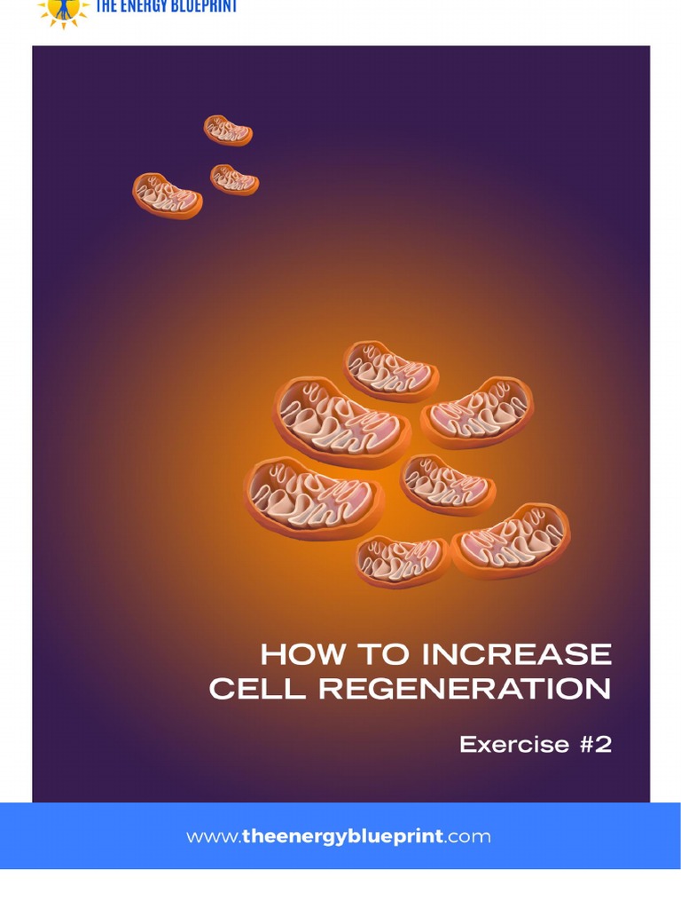Boost Cell Regeneration Habits Guide | PDF | Wellness | Lifestyle