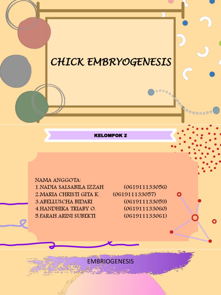 Embriogenesis Ayam: Tahapan dan Proses | PDF | Sains & Matematika