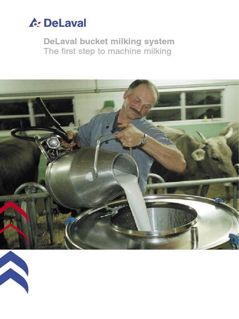 Bucket Milking System | Download Free PDF | Dairy | Milk