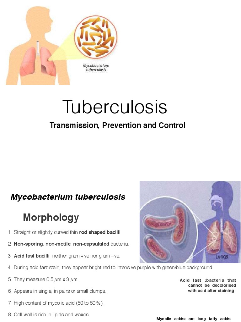 Tuberculosis | PDF | Tuberculosis | Infection