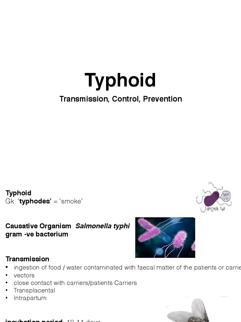 Typhoid | PDF | Gallbladder | Bile