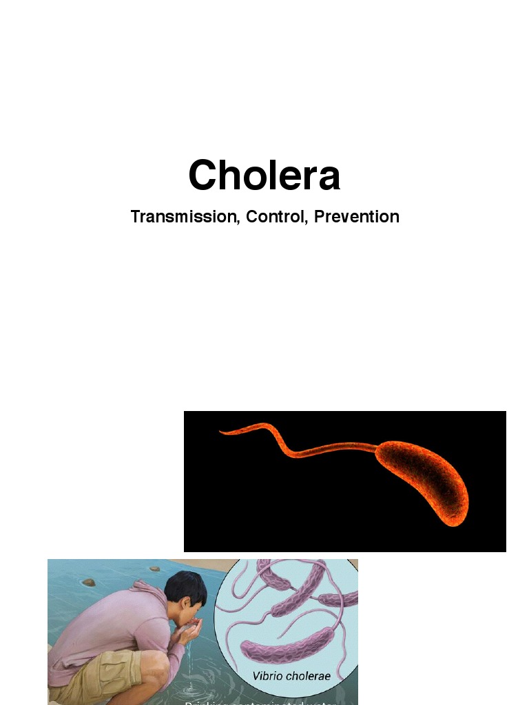 Cholera: Transmission, Symptoms, and Control | PDF
