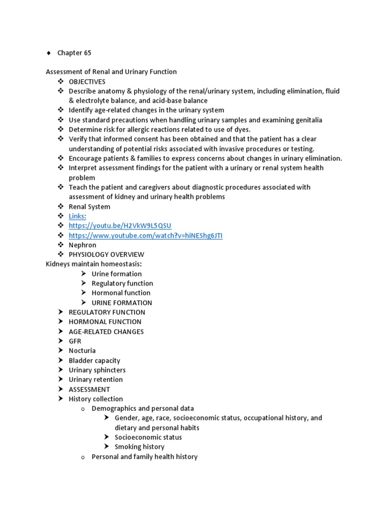 Assessing Renal and Urinary Function: An In-Depth Review of Anatomy ...
