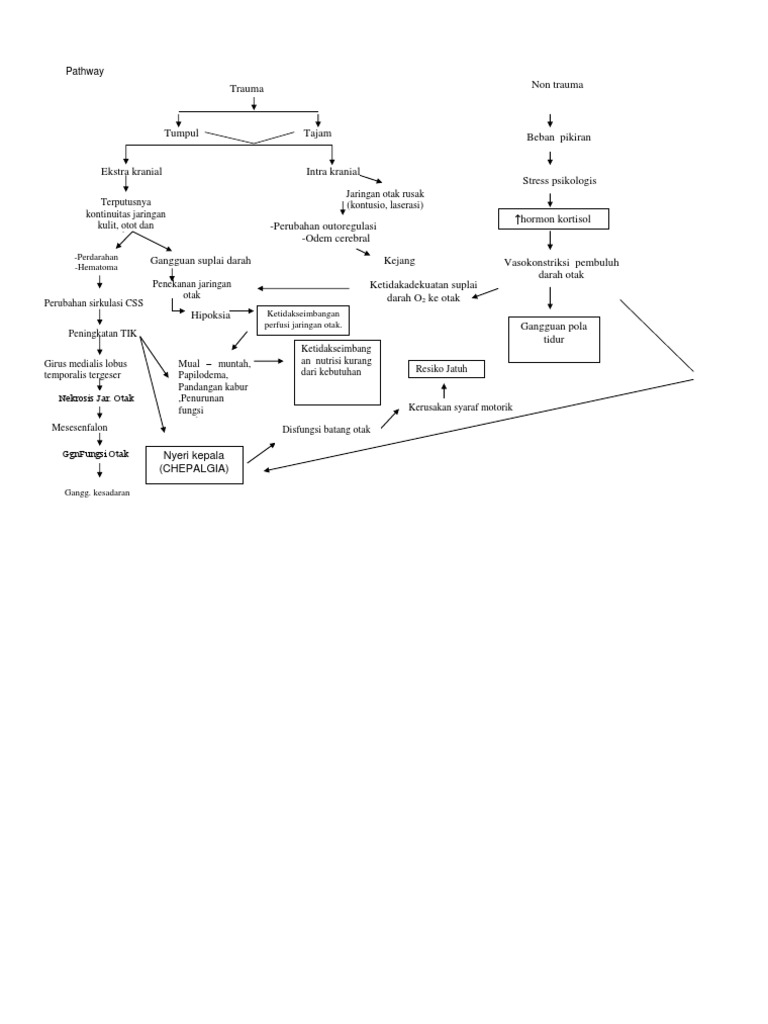 Pathway-Chepalgia (Irdiany) | PDF
