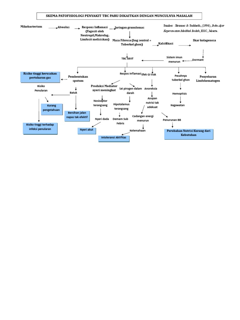 Pathway TB Paru | PDF