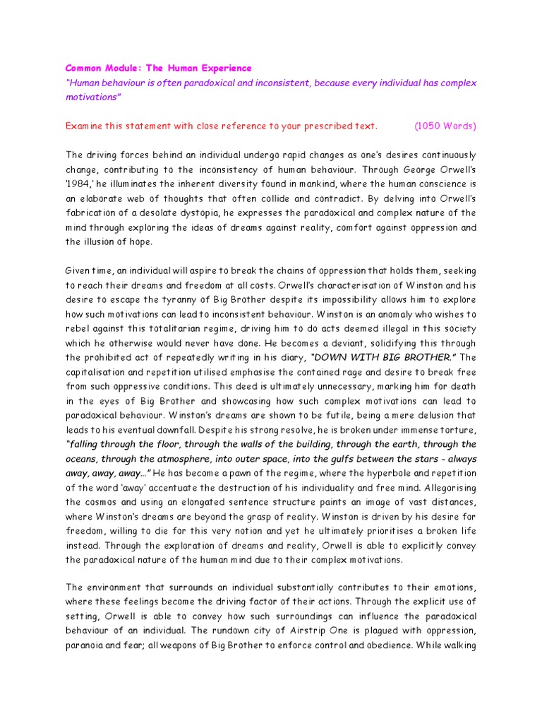 Paradoxical Human Experience in 1984 | PDF | A Doll's House ...