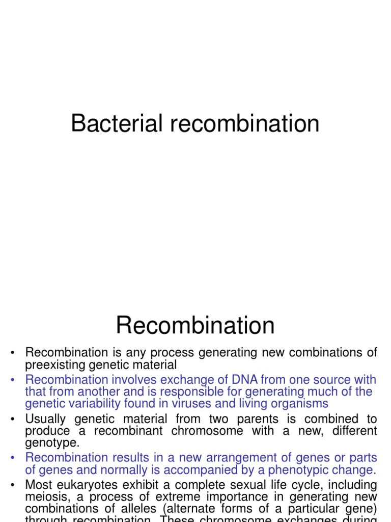 Bacterial Recombination | PDF | Transformation (Genetics) | Plasmid