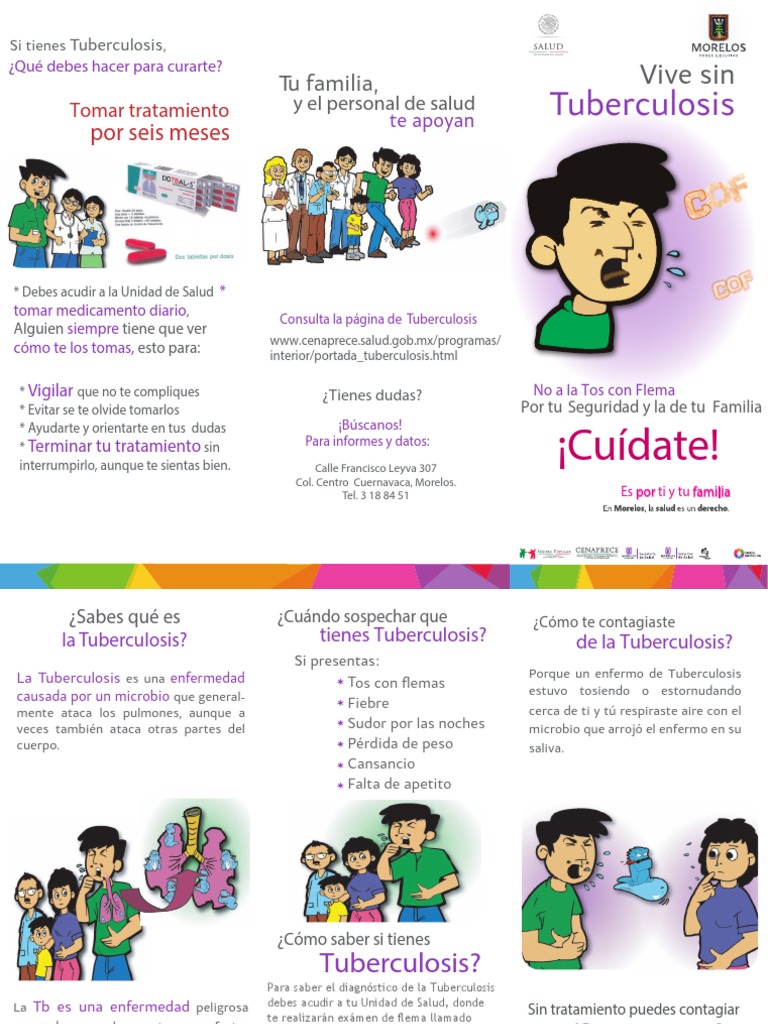 Triptico Tuberculosis | PDF | Tuberculosis | Epidemiología