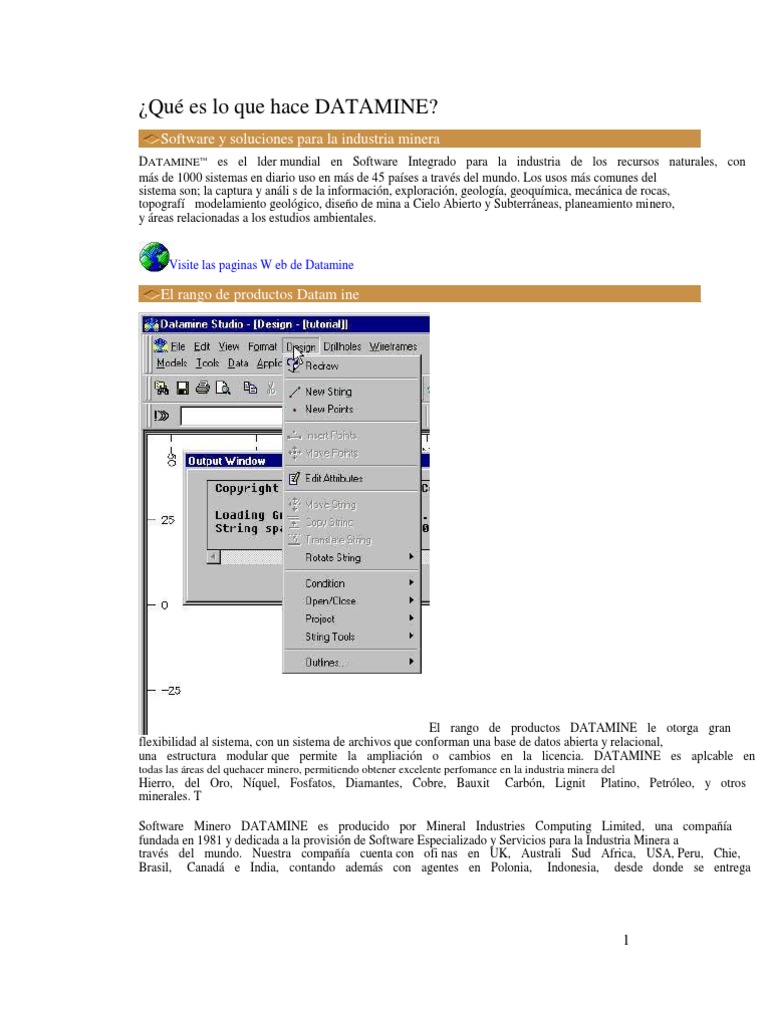 Tutorial de DATAMINE | PDF | Ventana (informática) | Archivo de computadora