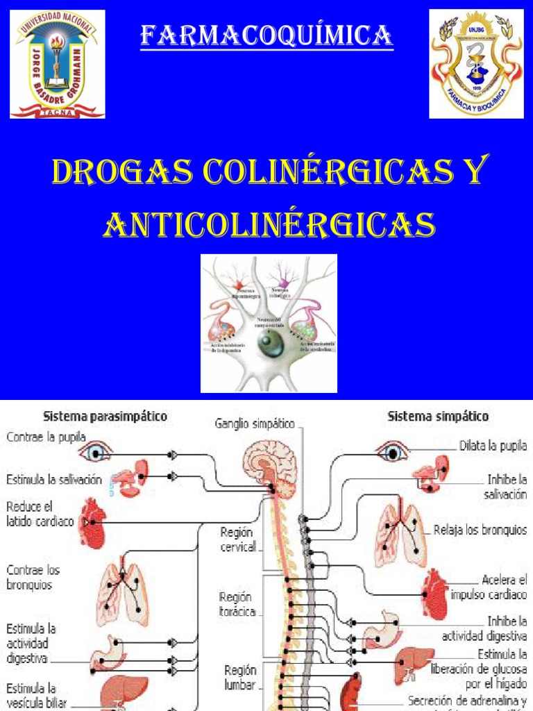 Farmacoquimica 10 Colinergicos | PDF | Acetilcolina | Neuroquímica