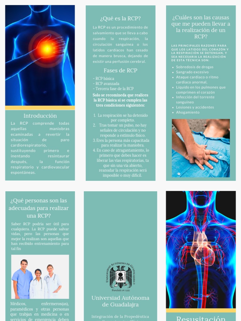 Tríptico RCP PDF | PDF | Reanimación cardiopulmonar | Medicina CLINICA